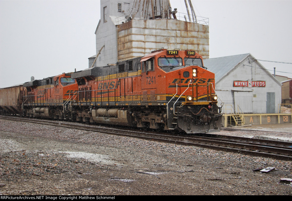 Crawling Out Of The Siding